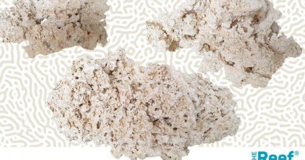 The Reef Rock - S (20kg)